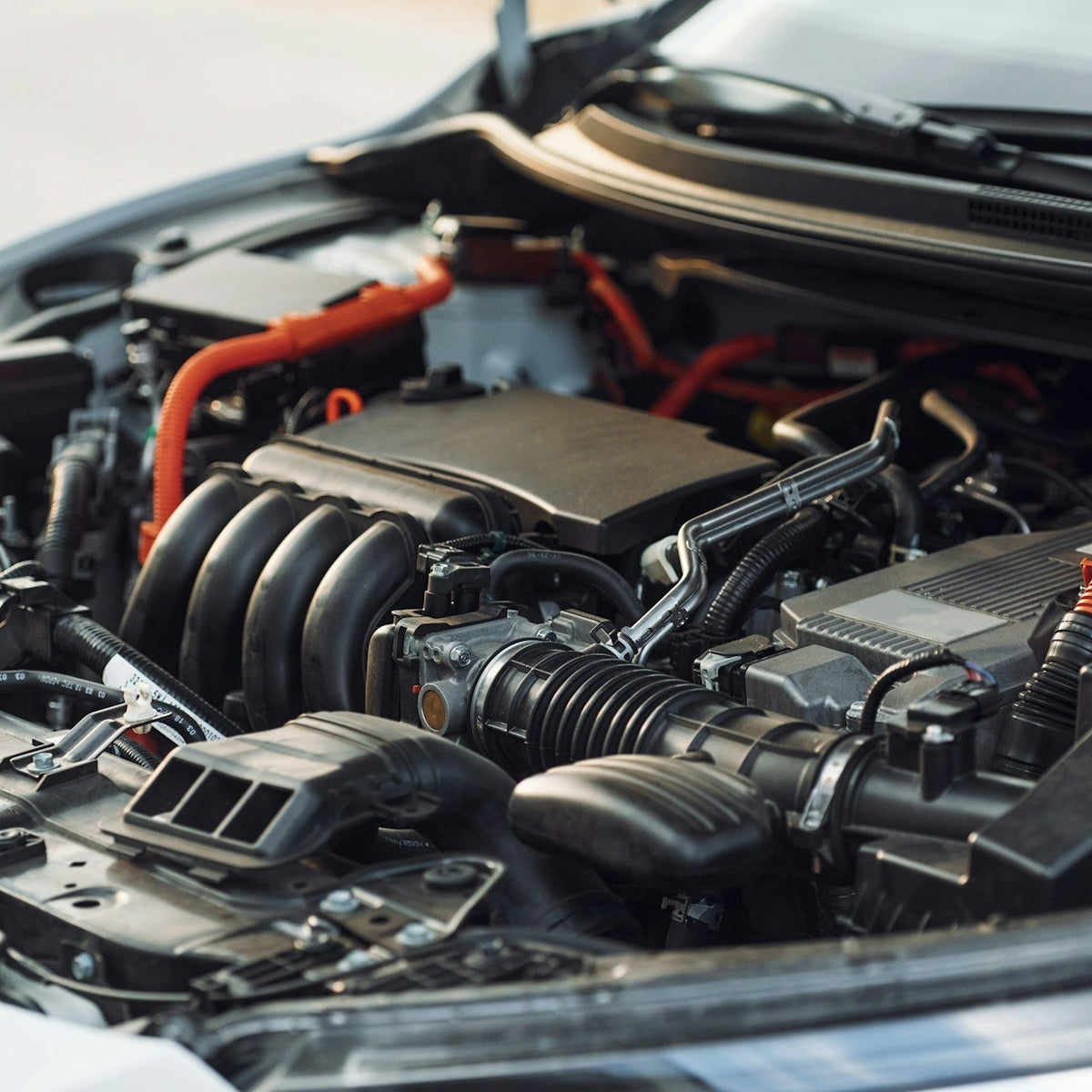 Why Your Holden 308 Engine Might Be Using Too Much Oil – HOLDCOM AUTO PARTS