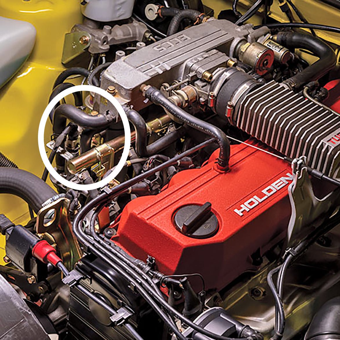 Why Your Holden Commodore V6 Engine Might Be Struggling To Start In Su ...
